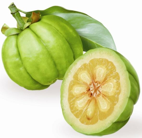 Garcinia Cambogia pharmacie : peut-on trouver ce brule graisse en oficine